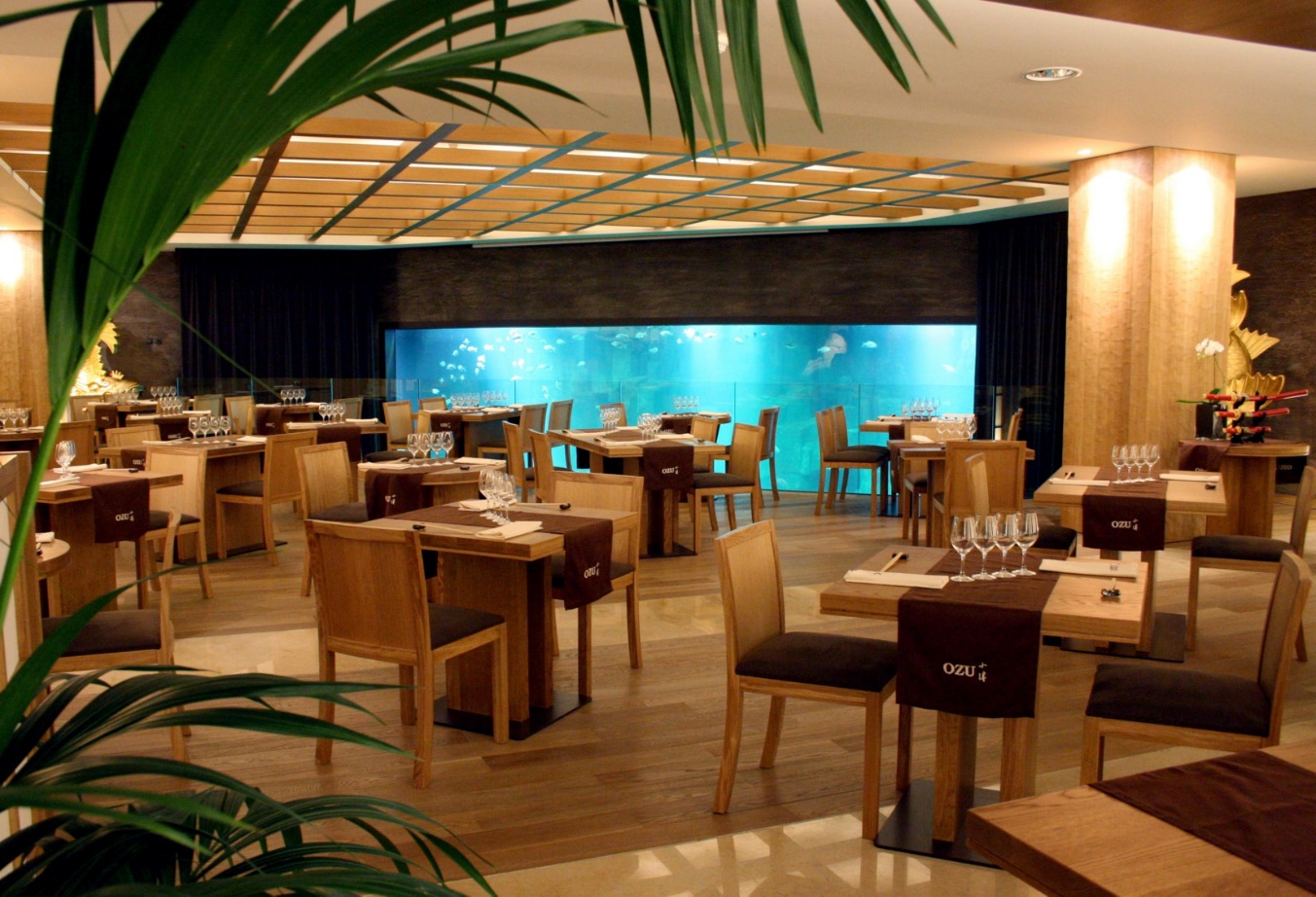 L’Aquarium de Paris – Cineaqua : une immersion en eaux profondes pour ...