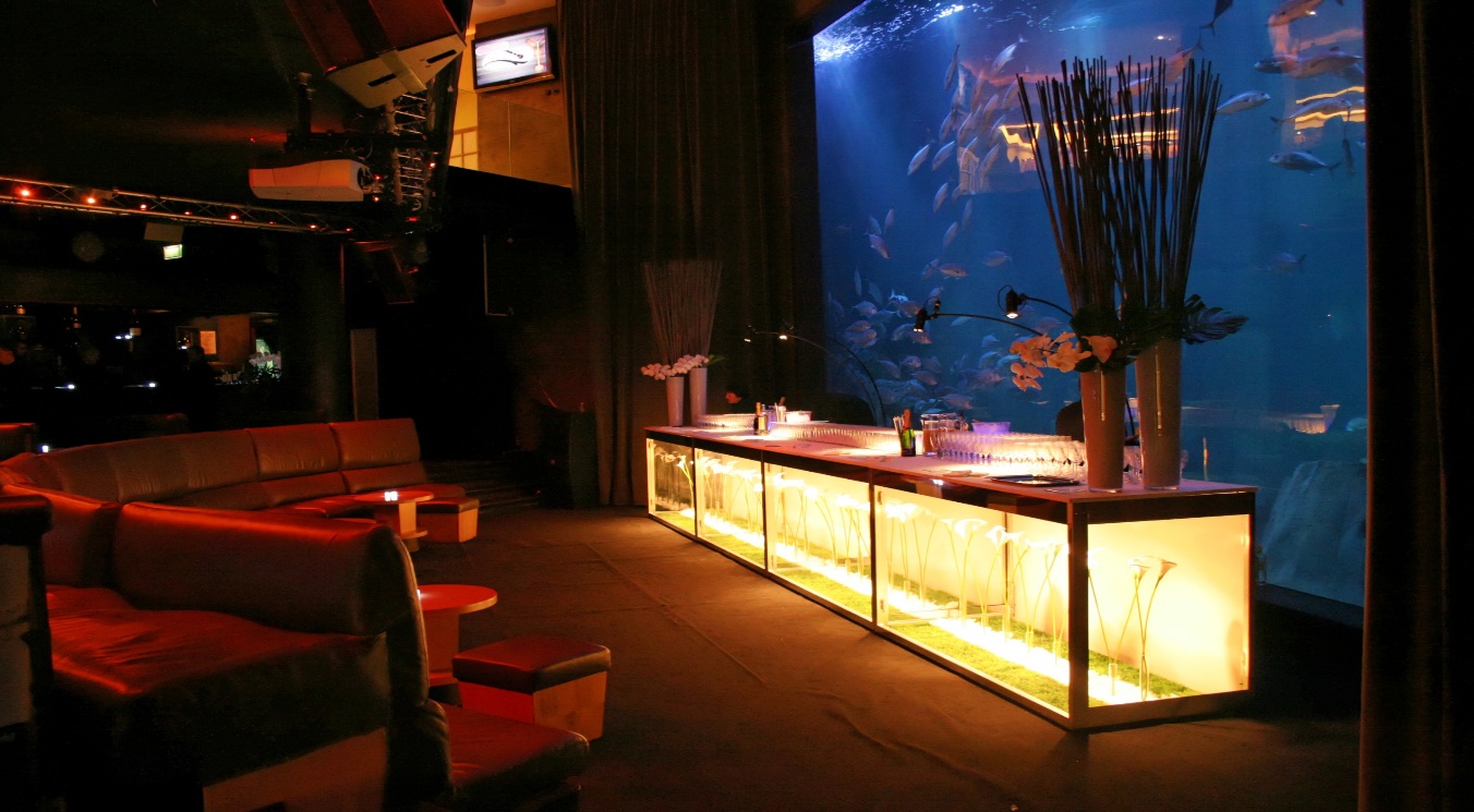 L’Aquarium de Paris – Cineaqua : une immersion en eaux profondes pour ...